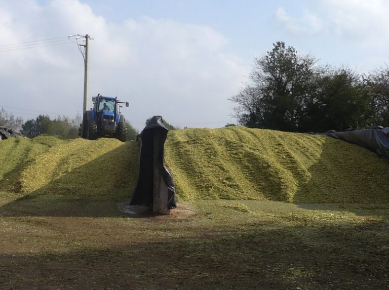 Qualistar 115 microns - Barbier Group